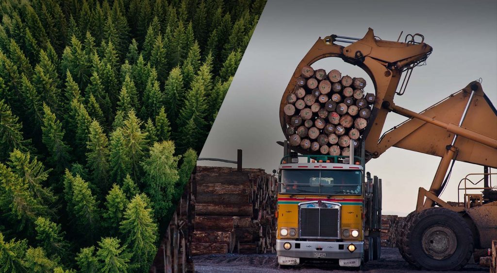 Logistics Management Solution for Forestry - Trimble Forestry