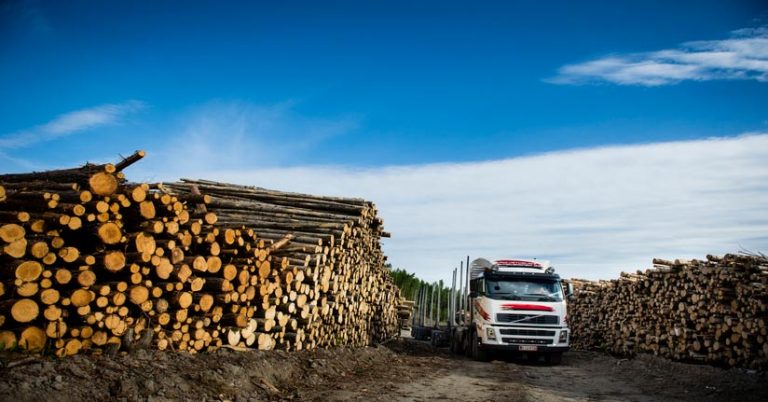 Interfor Corporation selects LIMS and WeighWiz